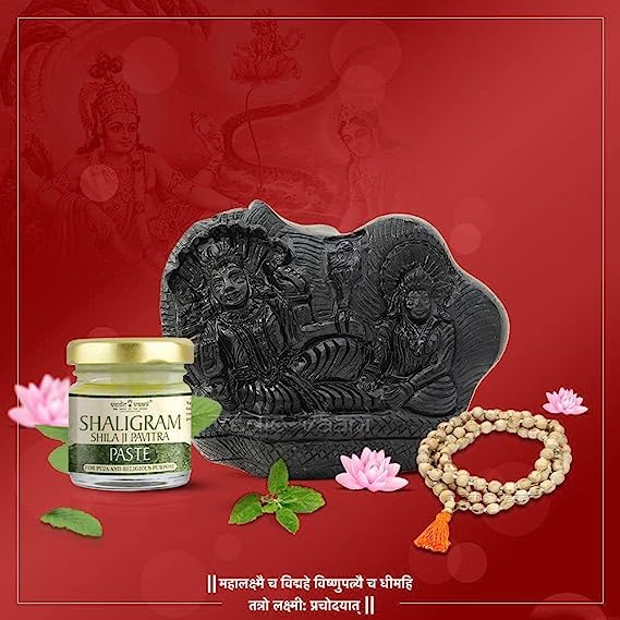 Vedic Vaani The Rarest Sculpture Laksmi Narayana Sacred Blessings Shaligram (Pack of 3)