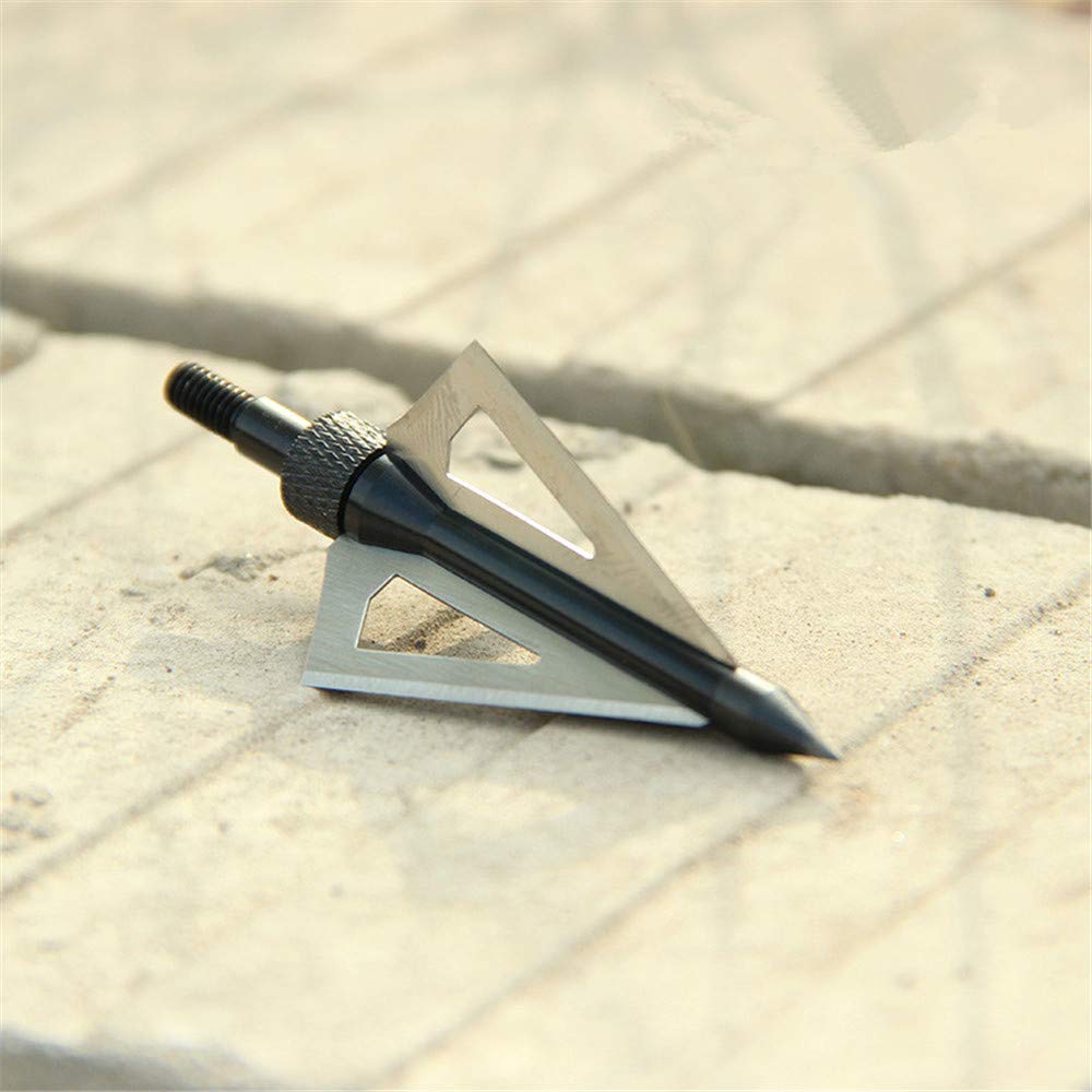 LIEYING 10 pcs Archery Hunting Broadheads 100 Grain 3 Blade Broad Screw Tips Arrow Heads for Shooting Training (10PCS,Red)