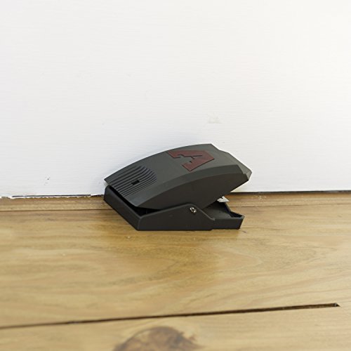 Victor M137-3A Quick-Set Mouse Traps, 6 Traps
