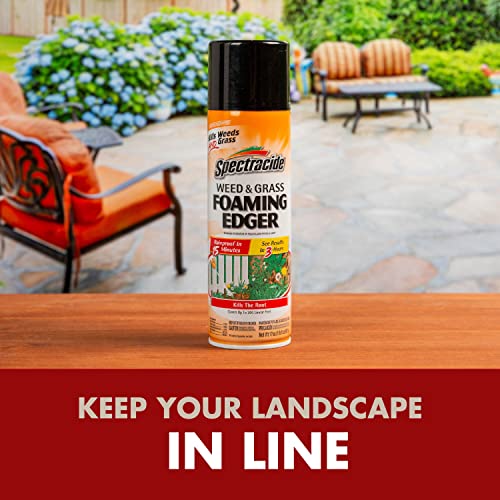 Spectracide Weed And Grass Foaming Edger 17 Ounces, Aerosol, For Edging Along Yards - pack of 12