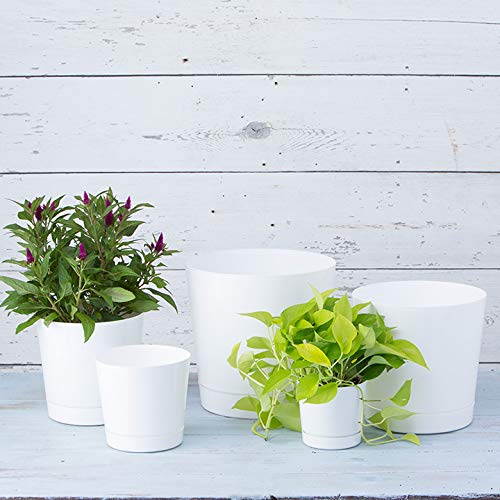 Novelty Majestic Full Depth Cylinder Pot, Glossy White, 14-Inch (10142)