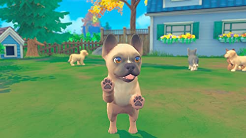 My Universe: Puppies and Kittens Nintendo Switch