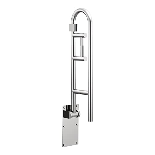Moen Stainless Safety 30-Inch Flip-Up Bathroom Grab Bar with Integrated Toilet Paper Holder, Wall Mounted Support for Handicapped or Elderly, R8962FD