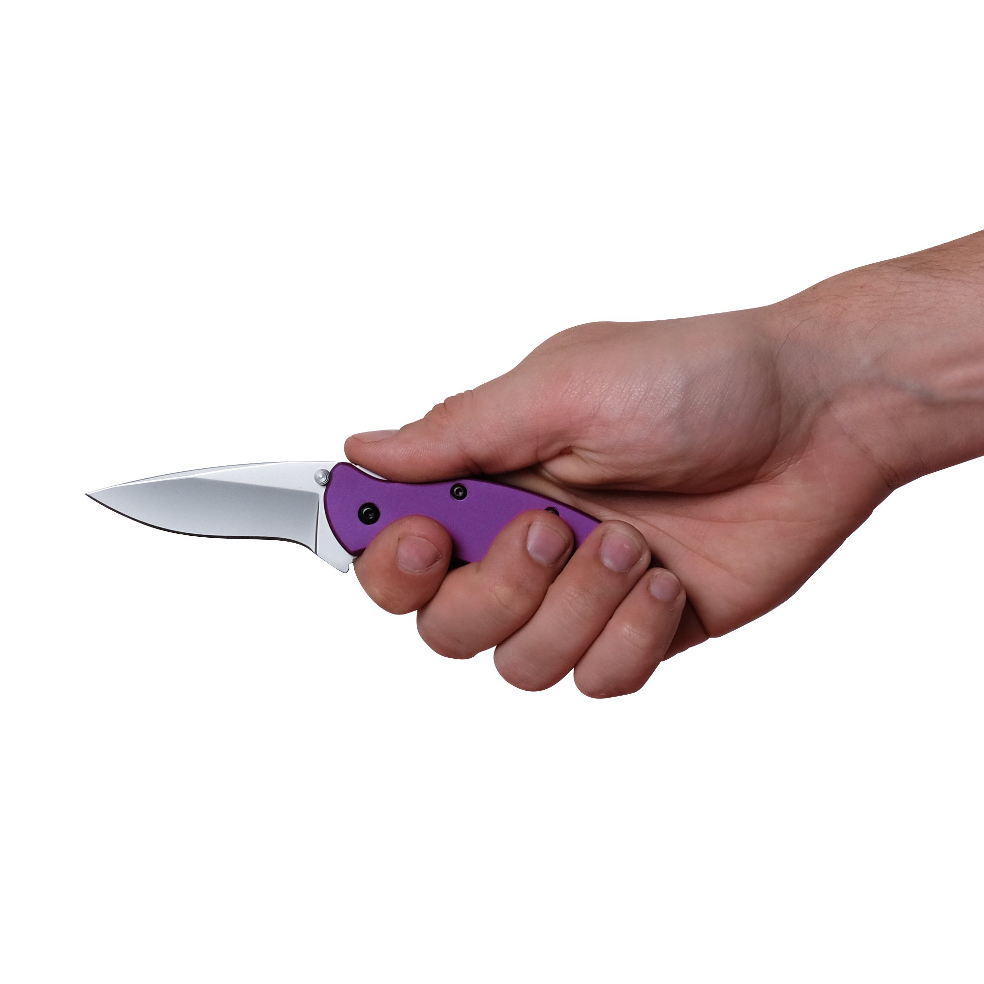 Kershaw Purple Scallion Pocket Knife, 2.25β Stainless Steel Blade with Assisted Opening, Aluminum Handle with Single-Position Pocketclip, Small Folding Knife
