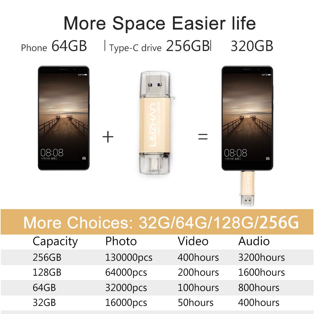 leizhan Type-C USB Flash Drive 256GB, USB C Photo Stick for Huawei P20,Samsung Galaxy S10, S9, Note 9, S8, S8 Plus, with USB OTG Adapter Micro and Type-C USB to USB Converter