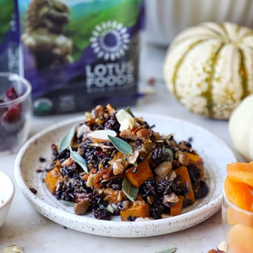 Lotus Foods Bulk Organic Forbidden Black Rice β Gluten-Free, Gourmet & Certified Organic Heirloom Whole Grain Rice, 11 pounds (1 pack)