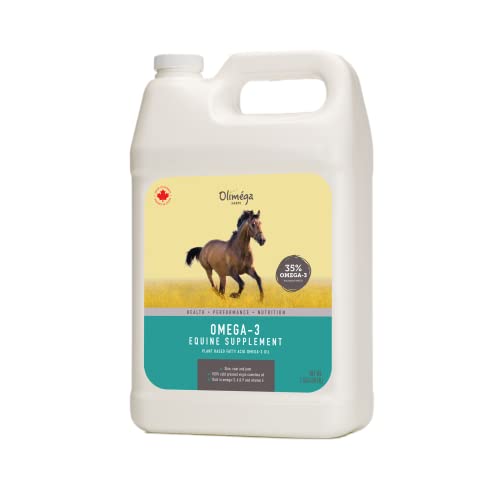 Virgin Camelina Oil for Equine, Dogs and Cats, 1 Gallon, Rich in Omega-3, 6, 9, Vitamin E, Fatty Acids. 100% Pure & Cold Pressed. Supports Skin, Coat, Joint Health. Product of Canada