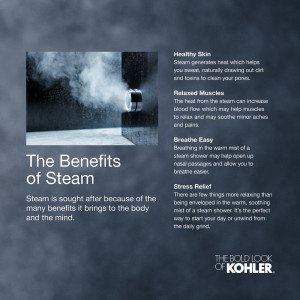 Kohler K-5529-NA Invigoration Steam Generator, 9 kW