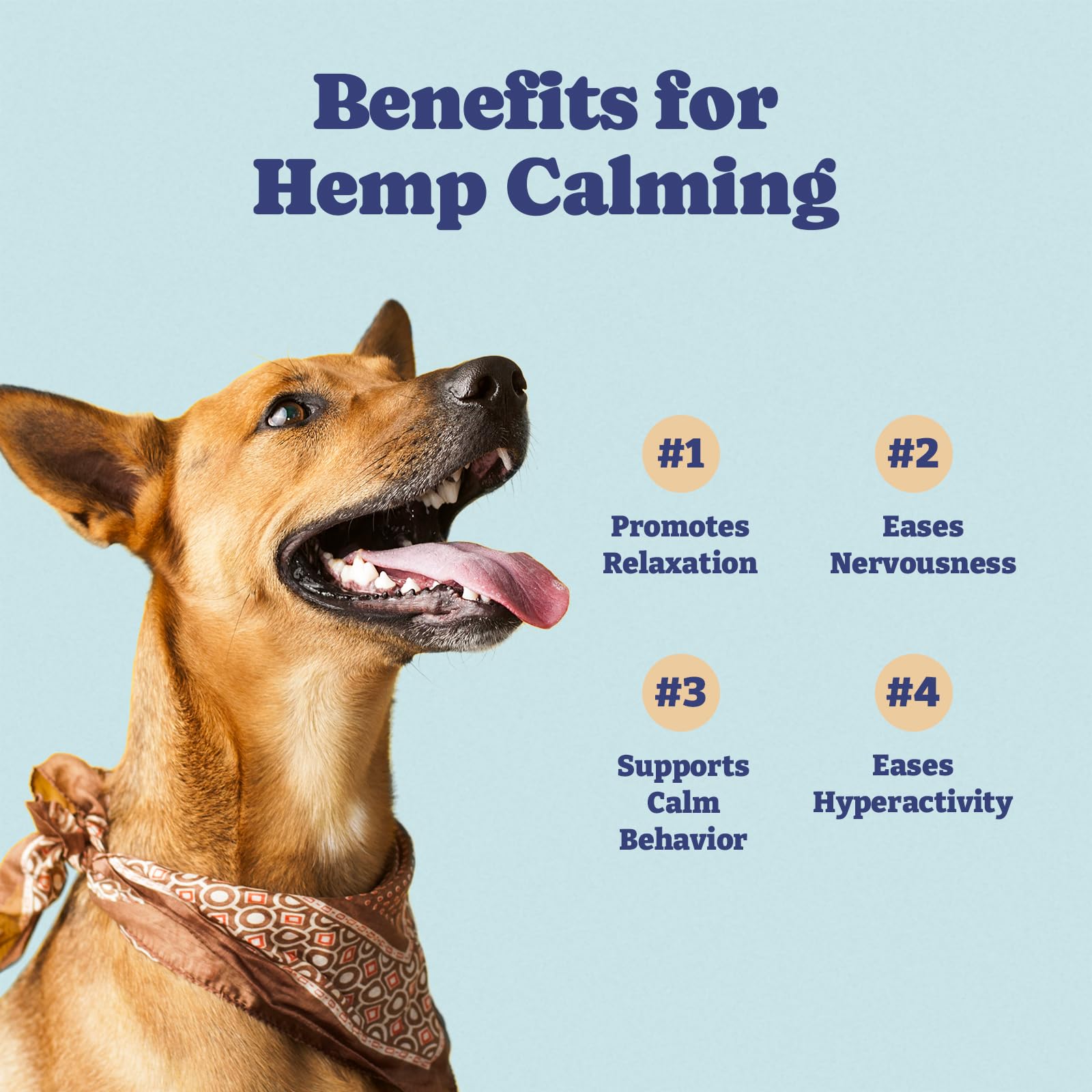 YoYoBay Dog Calming Chews for Anxiety, Separation, Travel, Thunderstorms - with Valerian Root, Melatonin, Hemp Oil - Duck & Pear Flavor, 170 Count