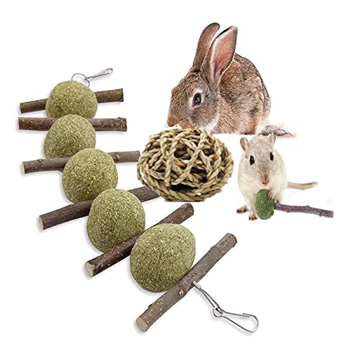 Xiaolanwelc Hamster Toys,Rabbit Toys,Rabbit chew Toys,Hamster chew Toys,Hamster Ball,Apple Sticks for Rabbits(9 Piece Set)
