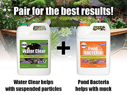 PondWorx Pond Bacteria and Water Clear- Formulated for Large Ponds, Water Features and Safe for Koi, Improves Water Quality- Gallon