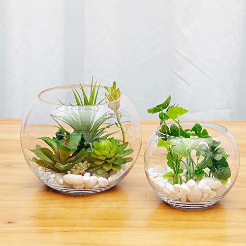 WGV Bowl Glass Vase, Diameter 8", Height 6", Open Width 5", (Multiple Sizes Choices) Clear Bubble Planter Terrarium Fish Bowl for Wedding Event Home Decor, 1 Piece (VBW0008A)