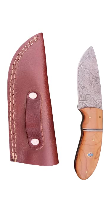 PSK20 - 1| 3| 5| 10| 15| 20 Pieces Pack Bulk Lot, Beautiful FIX Blade Damascus Steel Skinner knife Combination of Wood Handle GIFT, Bulk Discounted (1 Piece)