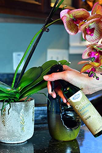 Southside Plants Weekly Orchid Food Fertilizing Spray - Ready to Use Mist Increase Humidity & Nutrients House Plants Farm - Safe Grow Formula for Orchid Leaves, Stems, Roots - 8oz