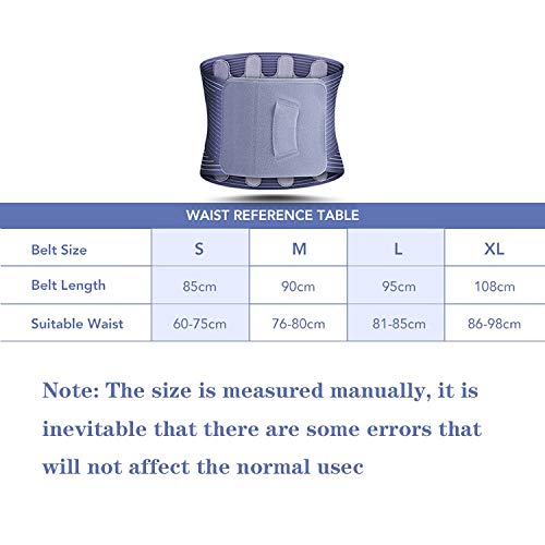 LSRRYD Double Adjustment Back Support Brace Lumbar Support Belt Stabilizing Large Unisex for Lower Back Pain, Muscle Spasm, Strains, Arthritis, Injury Recovery (Size : M)