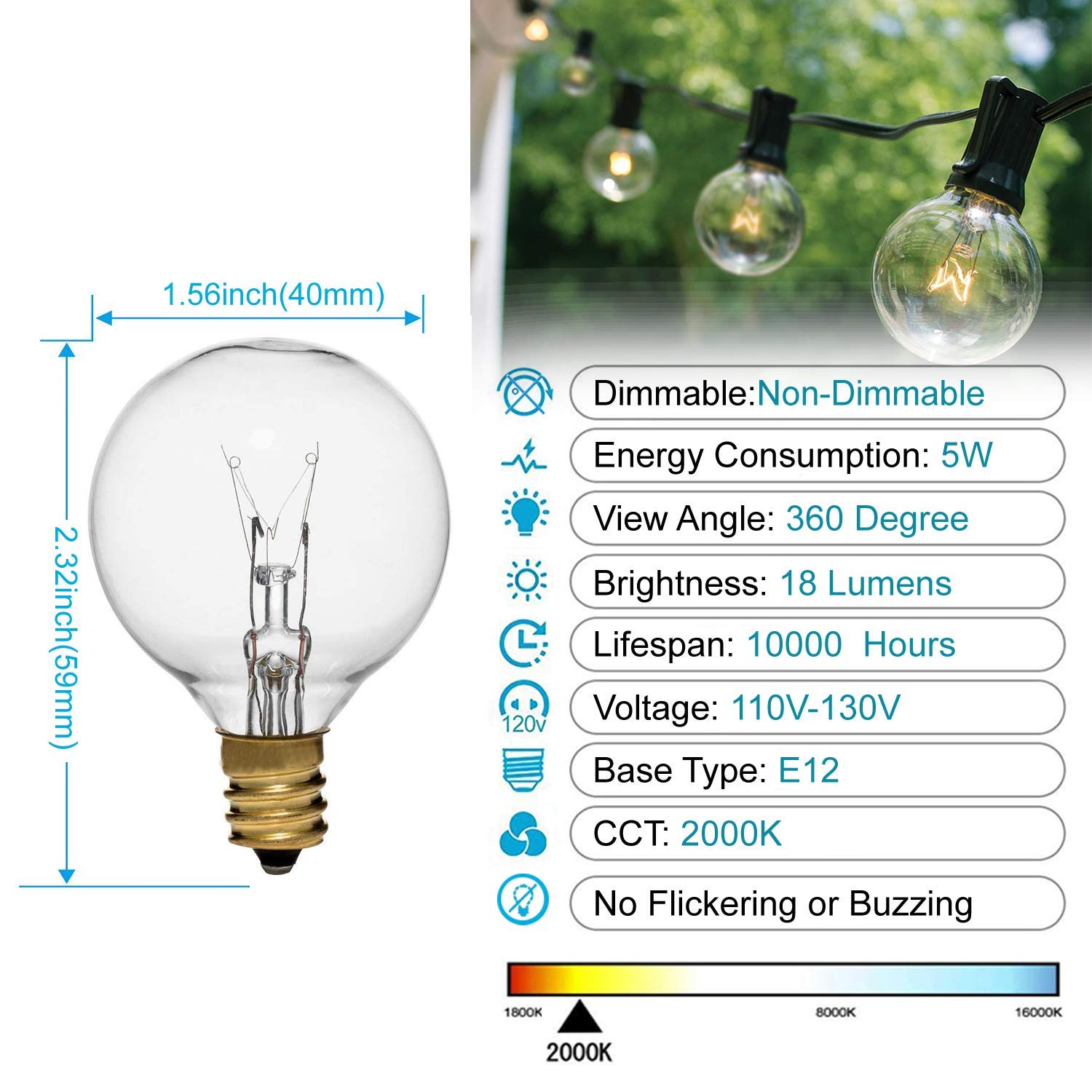 LEDESIGN 25-Pack G40 Incansedent String Light Bulbs, 5 Watt G40 Globe Light Bulbs, G40 Clear Replacement String Light Bulbs with Candelabra Screw Base, Fits E12 and C7 Sockets, Indoor-Outdoor Use
