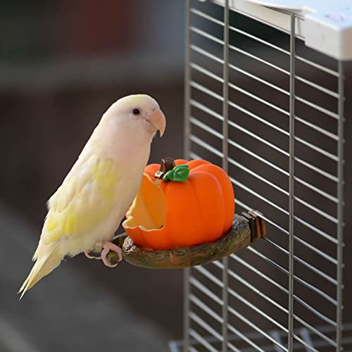 WAYUTO 2Pcs Bird Feeding Dish Cups Fruit Shaped Parrot Food Bowl Snap Holder Simulation Branch Stand Birds Cage Treats Seed Dispenser for Small & Young Birds Parakeet Conure Cockatiels Chinchilla