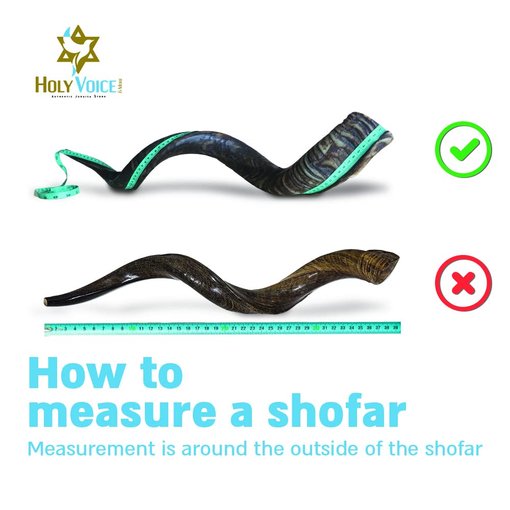 Kosher Kudu Shofar Horn from Israel – Traditional Half Polished Yemeni Shofar Includes Carrying Bag, Brush, Anti Odor Spray and Blowing Guide - Holy Easy Blowing Ancient Musical Instrument (36"-39")