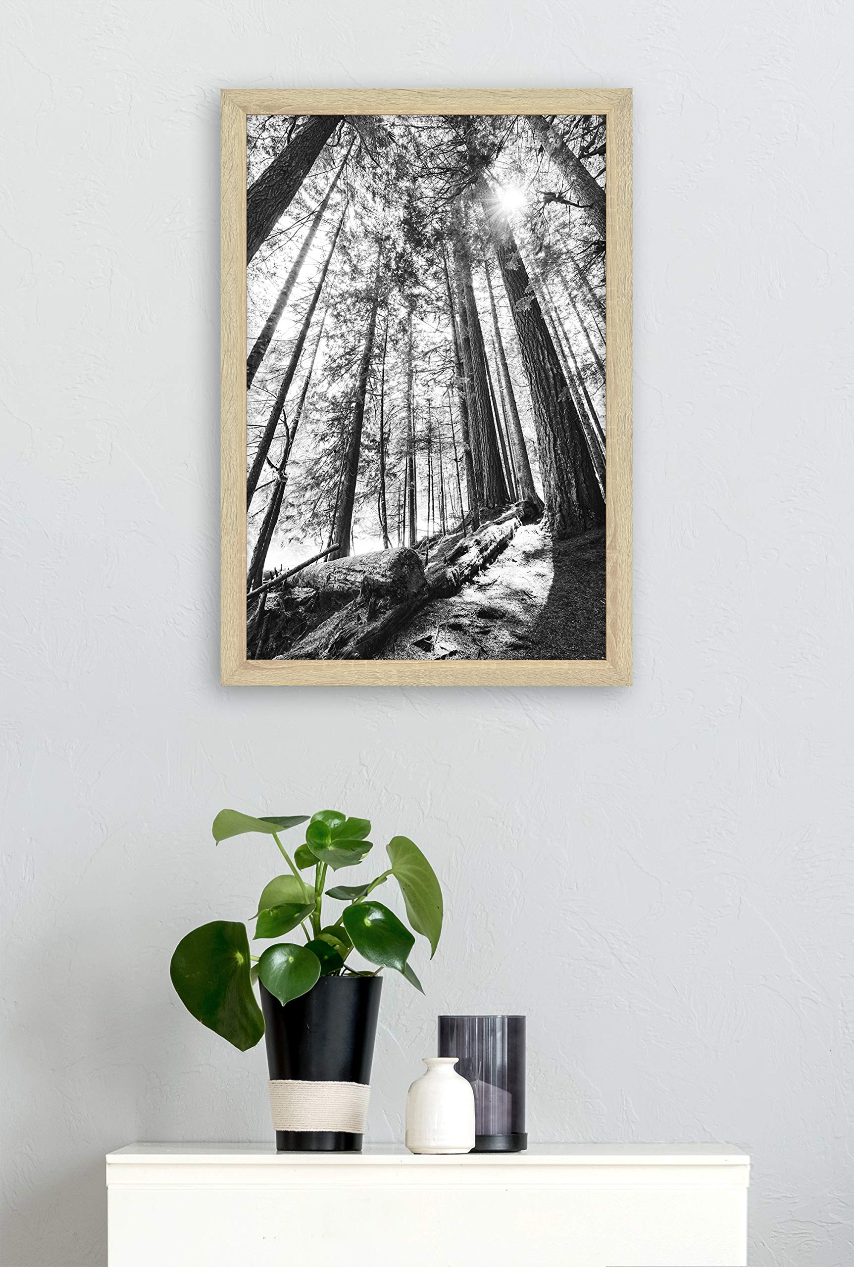 MCS Studio Gallery 16x24 Poster Frame Natural Woodgrain, Vertical & Horizontal Wall Hanging Large Picture Frame for Photos, Posters & Art Prints (1-Pack)