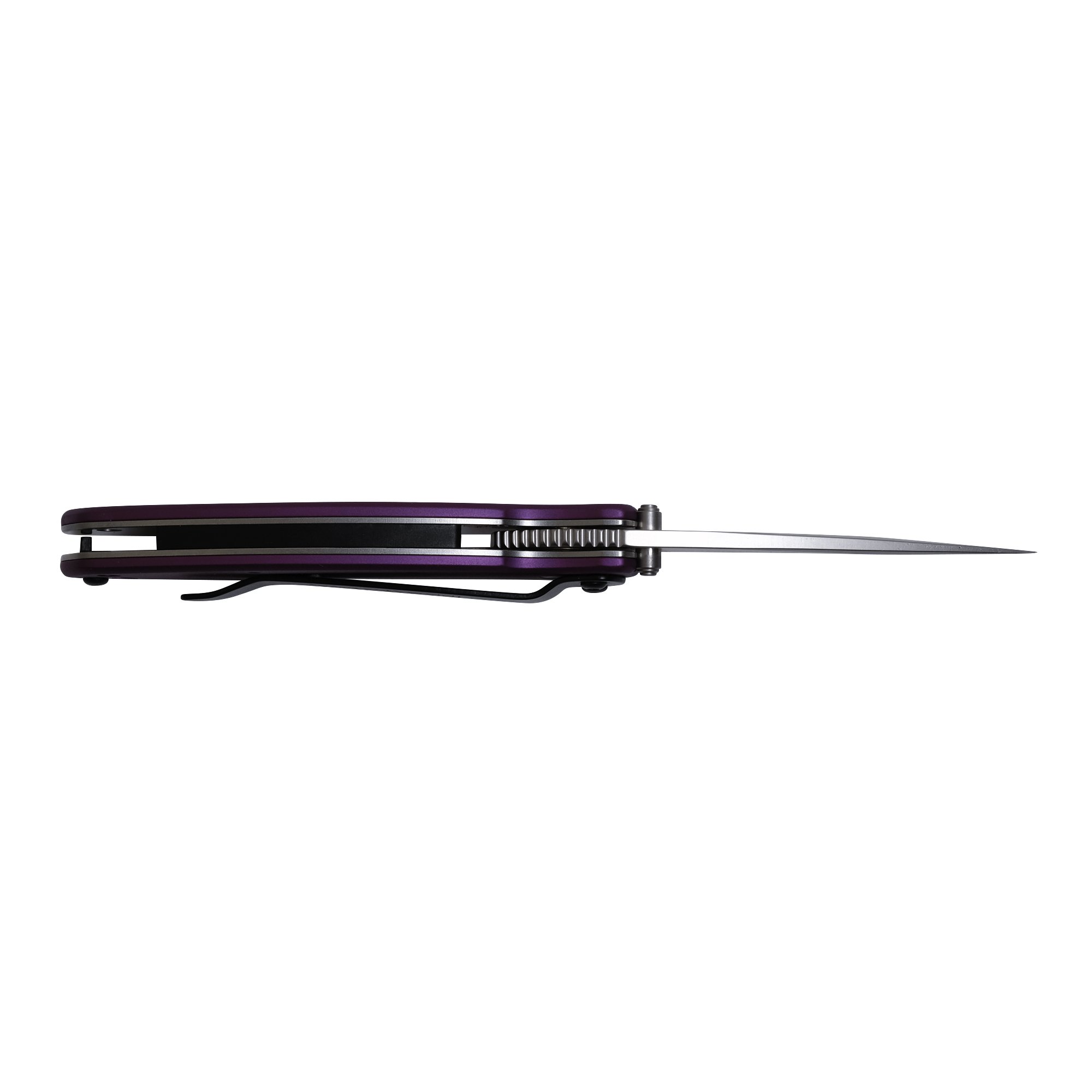 Kershaw Purple Scallion Pocket Knife, 2.25β Stainless Steel Blade with Assisted Opening, Aluminum Handle with Single-Position Pocketclip, Small Folding Knife
