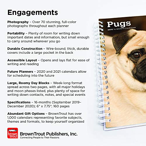 Kittens 2020 6 x 7.75 Inch Weekly Engagement Calendar, Animals Kittens