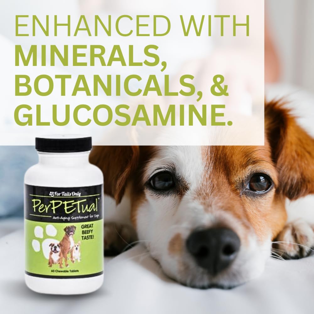 Youngevity Perpetual™ - Maximum Strength Anti-Aging Dog Bone & Joint Support - with Glucosamine, Choline, MSM, Milk Thistle, Calcium, Turmeric & More - 60 Chewable Tablets