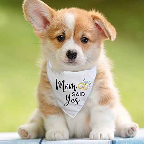 Tillfuru Dad Asked and Mom Said Yes Dog Bandana, Wedding Engagement Photos Bridal Shower Gift Pet Bandanas, 2 PCS(Black and White)