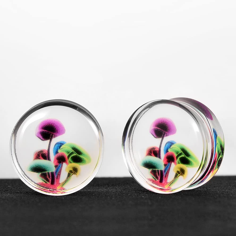 POBAISITER 2 PCS Resin Acrylic Transparent Ear Tunnels and Plugs Earrings Piercing Jewelry
