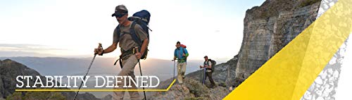 Mountainsmith Roamer Adjustable Trekking Poles with Anti-Shock Macaw Green, Large (18-9099-55)