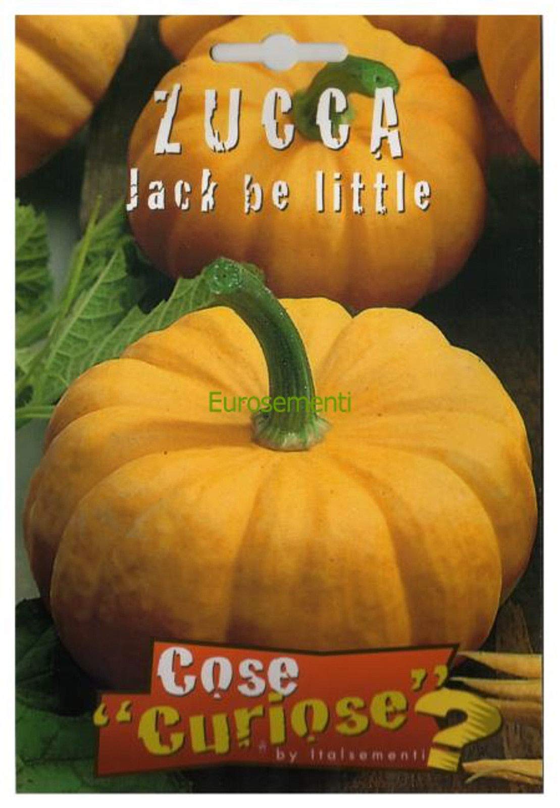 Portal Cool Semi/Semi di Zucca Jack Be Little