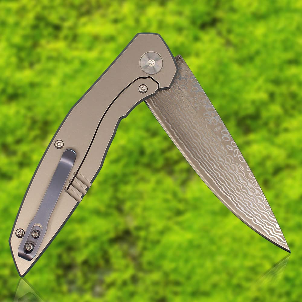 R8318 Flipper Folding Knife 67-Layer VG10 Damascus Steel Blade CNC TC4 Titanium Alloy, Outdoor Camping Hiking Fishing EDC Pocket Folder Knives