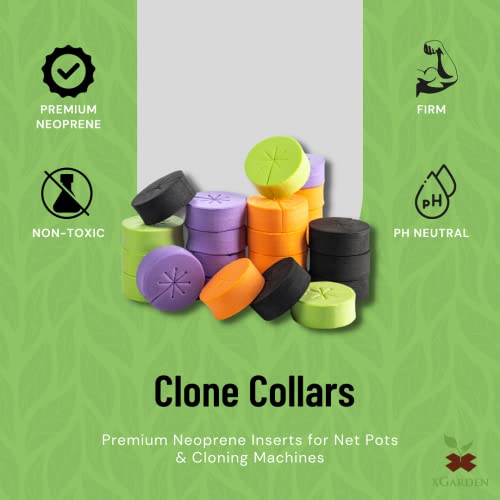 xGarden Neoprene Clone Collars - 30 Pack Cloning Collars, 2" Inch, Multi-Color - DIY Foam Cloner Inserts for Net Pots, Hydroponics, Aeroponics