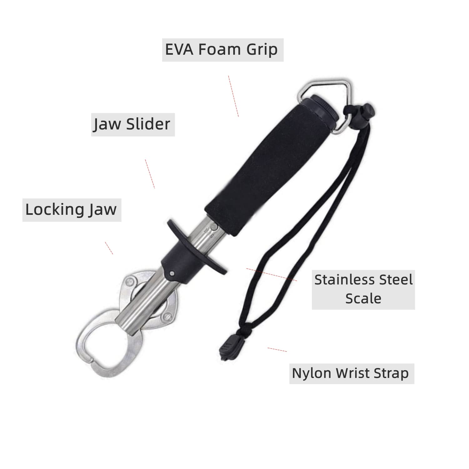 Professional Fish Gripper with Scale Stainless Steel Fish Holder Grabber 33 Pound Fish Lip Grip Boga Grip Fishing Tool