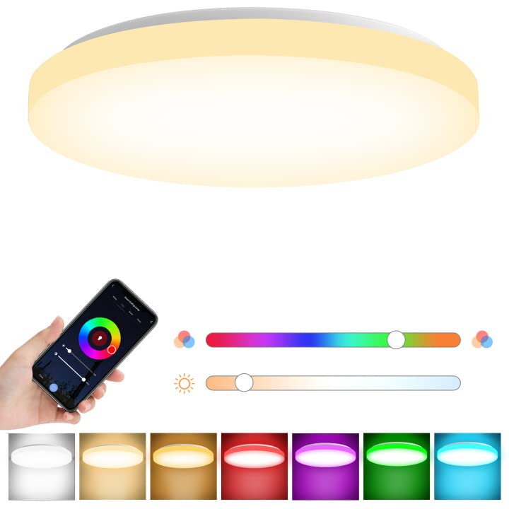 MikeWin Smart Ceiling Light Fixture 12Inch - 24W Smart Led Ceiling Light Ultra Thin Color Changing RGB Ceiling Light - app Control 2400lm 3000K-6500K Dimmable - Compatible with Alexa