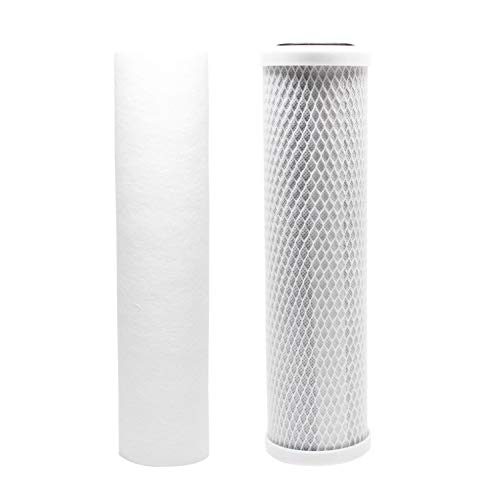Watts Premier 560035, 5-Micron Sediment Replacement, 2-Pack