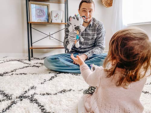 Mary Meyer Baby Einstein First Discoveries Hand Puppet Pal, 13-Inches, Zen Zebra