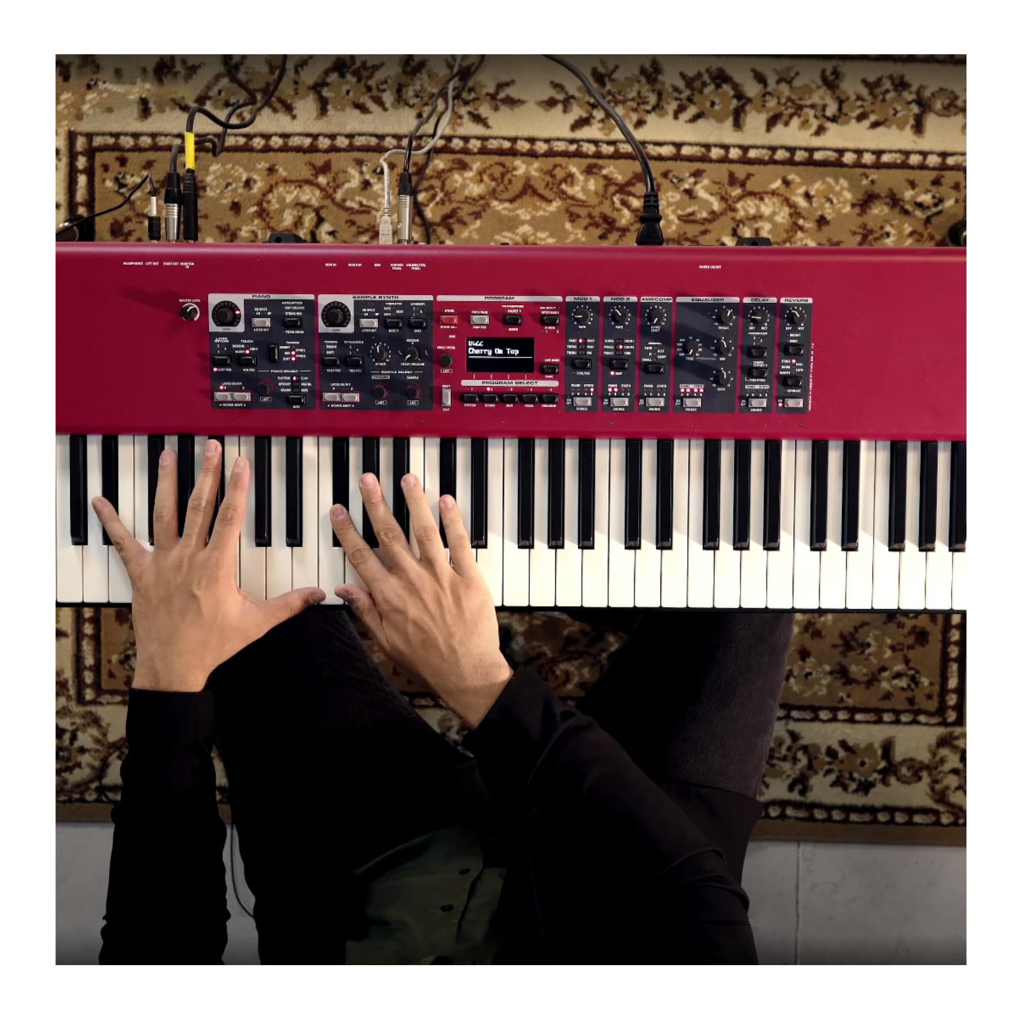 Nord Piano 5 88-Key Digital Piano Bundle with Soft Case and 1/4 Inch TRS Cables (4 Items)