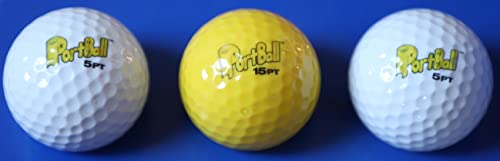 PortBall Game Unit - Includes Official 3-Ball Set and 1-Game Unit - Bouncing Indoor & Outdoor Sport, Great Gift for Birthdays, Fun Game for Teens and Adults