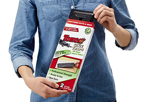 Tomcat Rat Size Glue Traps, 2-Pack (Original Formula)