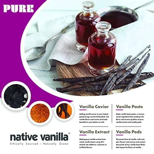 Native Vanilla Grade B Tahitian Vanilla Beans β 10 Total Premium Extract Whole Pods β For Chefs and Home Baking, Cooking & Extract Making β Homemade Vanilla Extract
