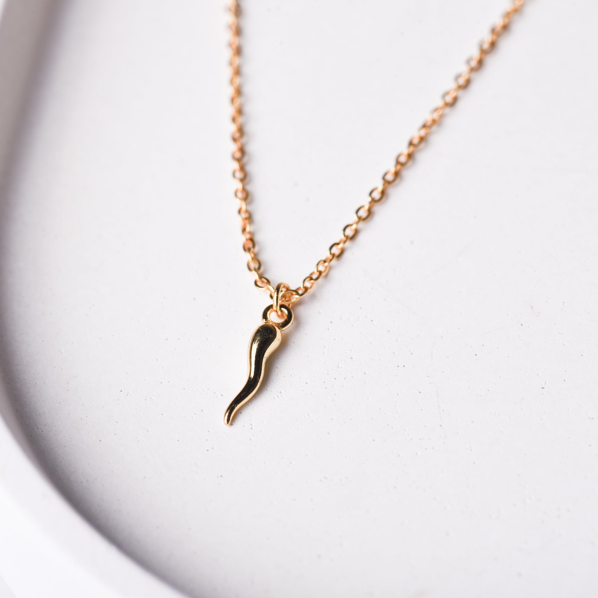 LEMON GRASS Minimalist Dainty Gold Italian Horn Necklace | Sterling Silver Lucky Horn Dainty Protection Necklace Layer Cornicello Jewelry