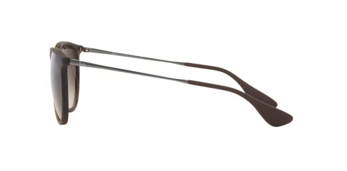 Ray-Ban RB4171 Erika 865/13 54mm Rubber Havana/Brown Gradient Sunglasses for Woman + VISIOVA Accessories Bundle Kit