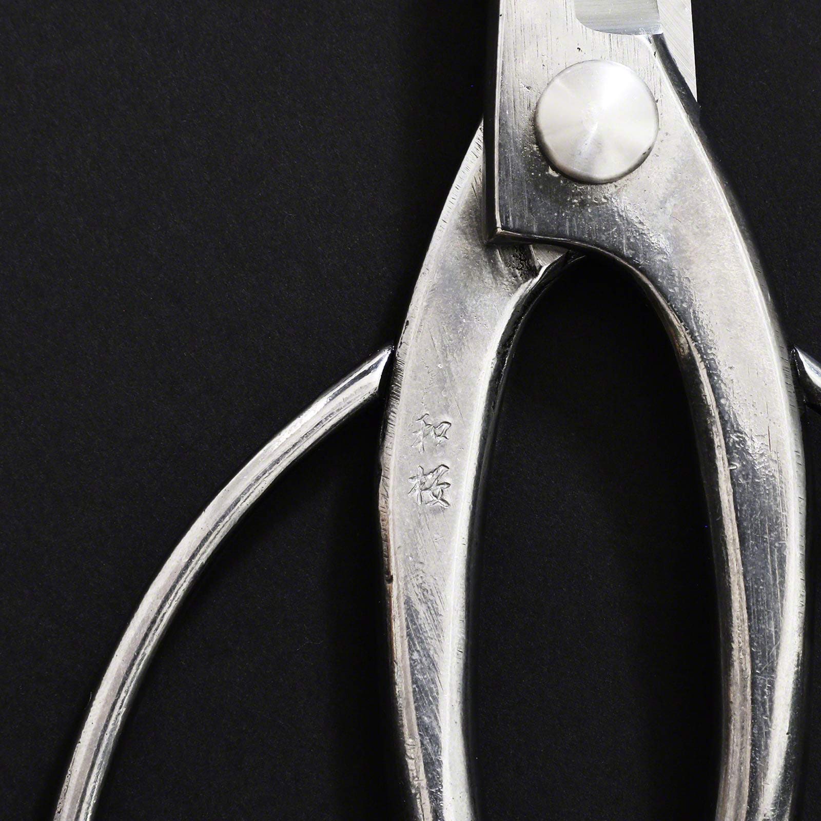 Wazakura Stainless Steel Series Traditional Bonsai Scissors, Made in Japan 7 in (180 mm), Hasami Pruning Shears, Professional Garden Tools (Traditional Stainless Steel)