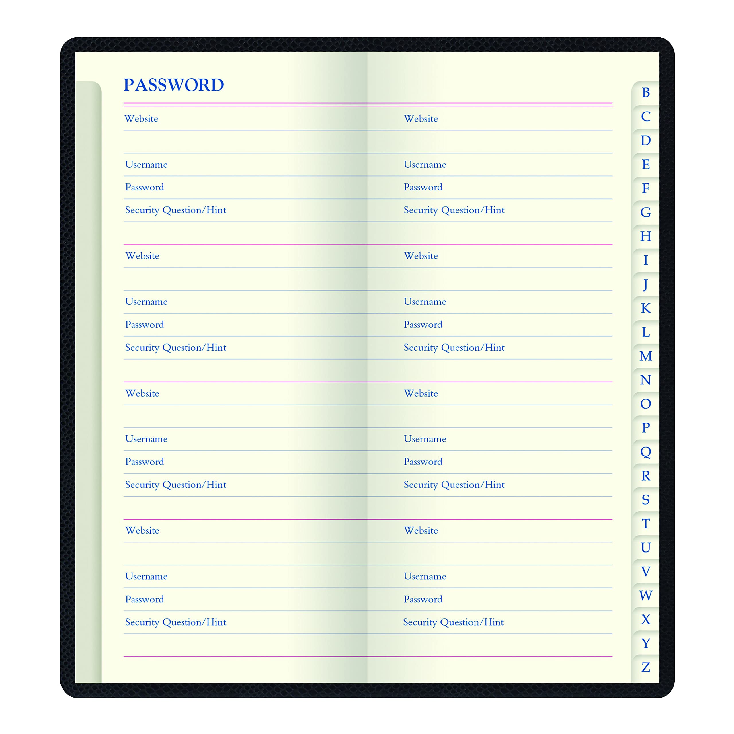LETTS Note Origins Collection Slim Pocket Size Password Book with Gold Pen, Ruled, 160 Pages, Cream Paper, 5.75" x 2.75", Black (B090128)
