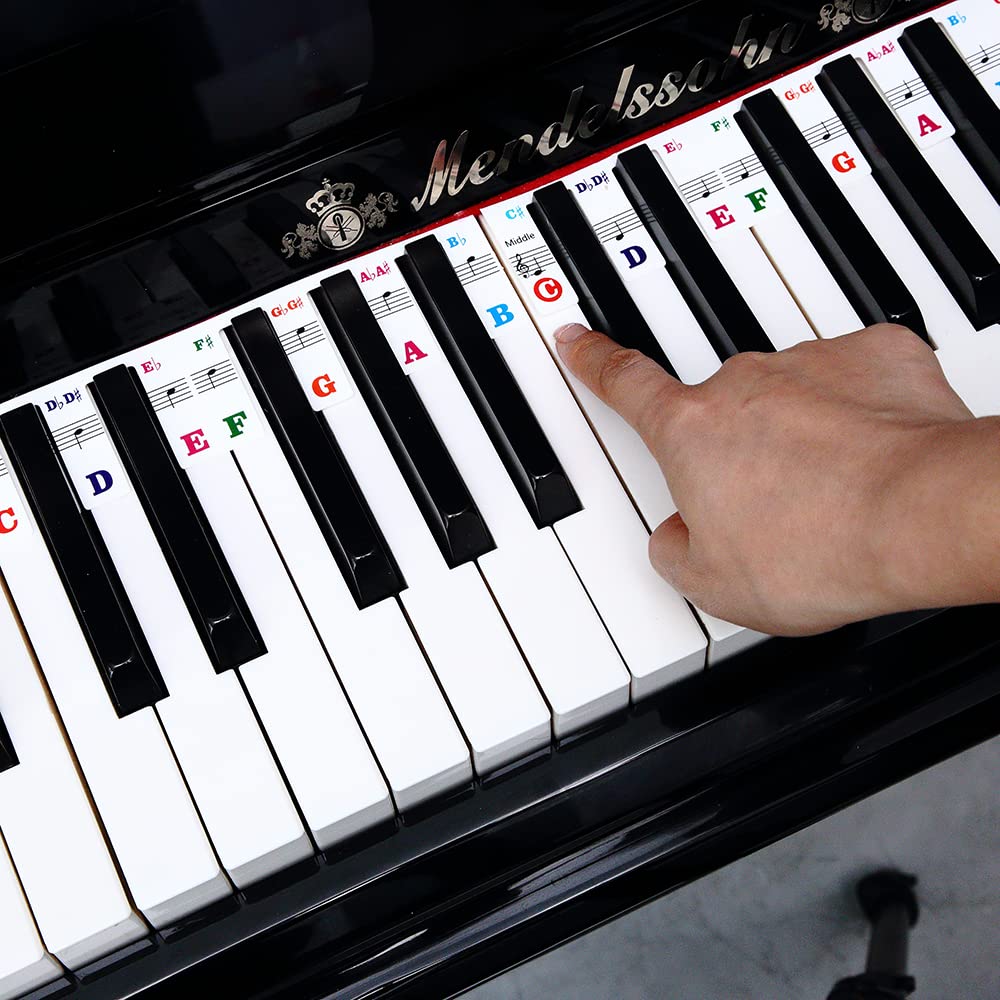 Piano Keyboard Stickers, Full-Size Piano Rake Key Labels Overlay Removable for Beginners Kids (61 Full Keys)