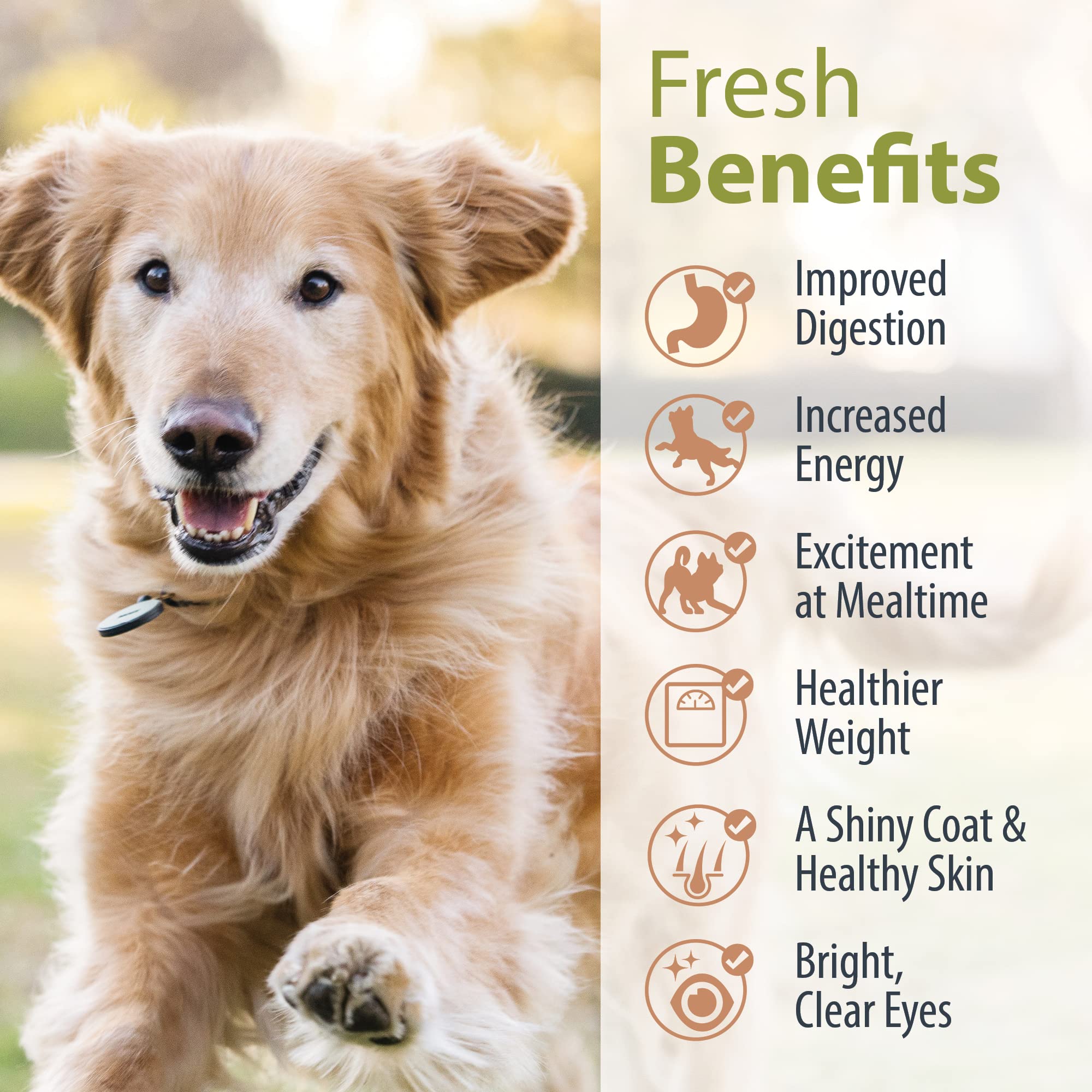 JustFoodForDogs Pantry Fresh Dog Food, Human Grade - Beef, Chicken, Turkey Variety(6 - Pack) & Chicken Treats - 5 Oz