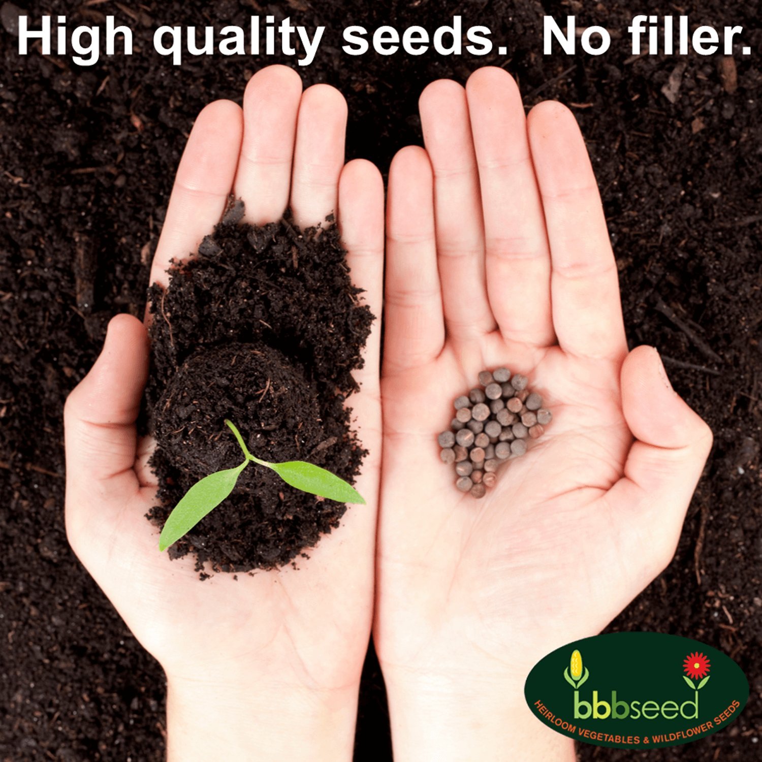 Sunflower Wildflower Seeds Mix - 1oz, Open-Pollinated Wildflower Seed Mix Packets, Non-GMO, No Fillers, Annual Sunflower Seeds, Summer Planting - 1 oz