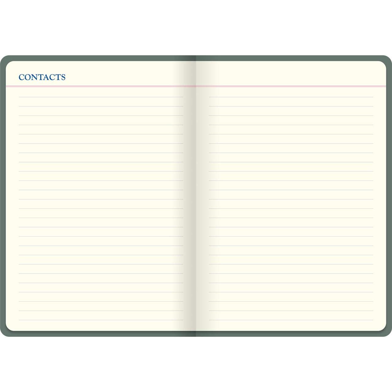 Letts Icon A5 undated 5 year diary - green