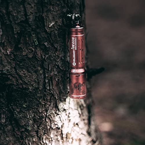 OLIGHT 90 Lumens i3E EOS PMMA TIR Lens AAA Flashlight Compact Keychain Flashlight EDC Flashlight for Night, Camping