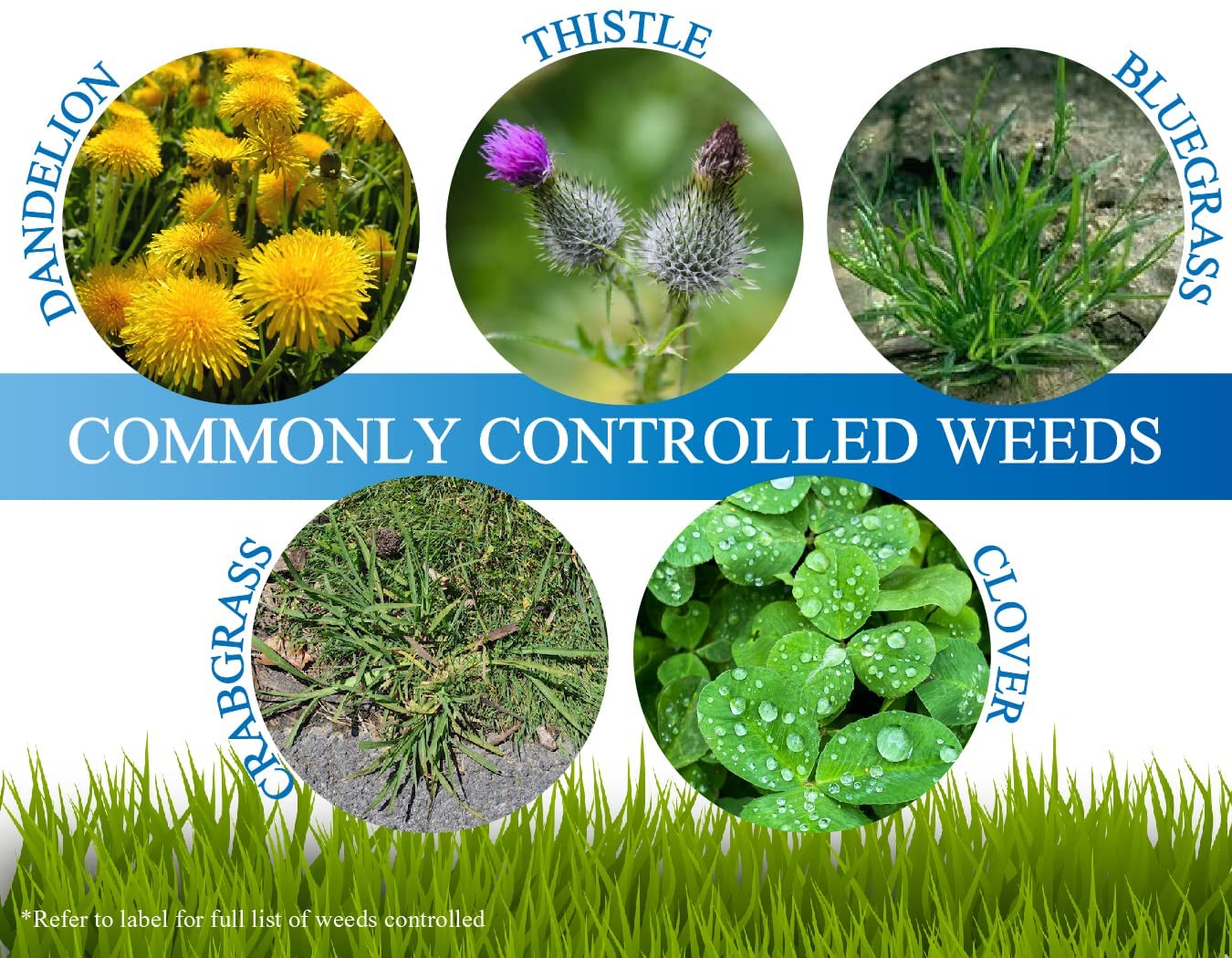 Liquid Harvest Mesotrione - 32oz - Mesotrione Concentrate (Compare to Tenacity) - Pre and Post-Emergent Weed Killer for Lawn and Turf Grasses